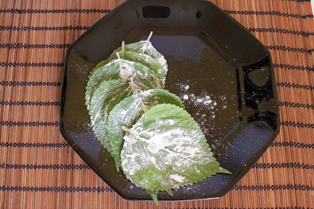 Feuilles de sésame au thon en friture (Kaenip Jeon) | Kimshii
